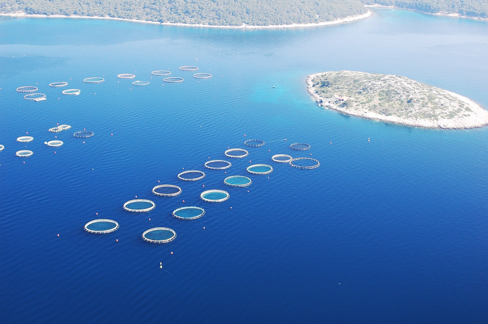 Konkurentno - Županijski HDZ - HDZ grada Zadra